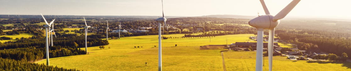 Front Page | Western Electricity Coordinating Council