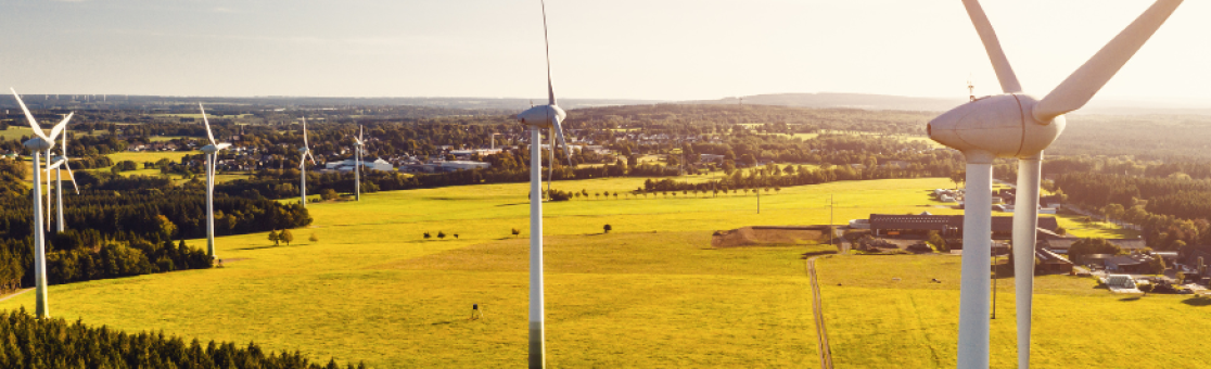 Front Page | Western Electricity Coordinating Council